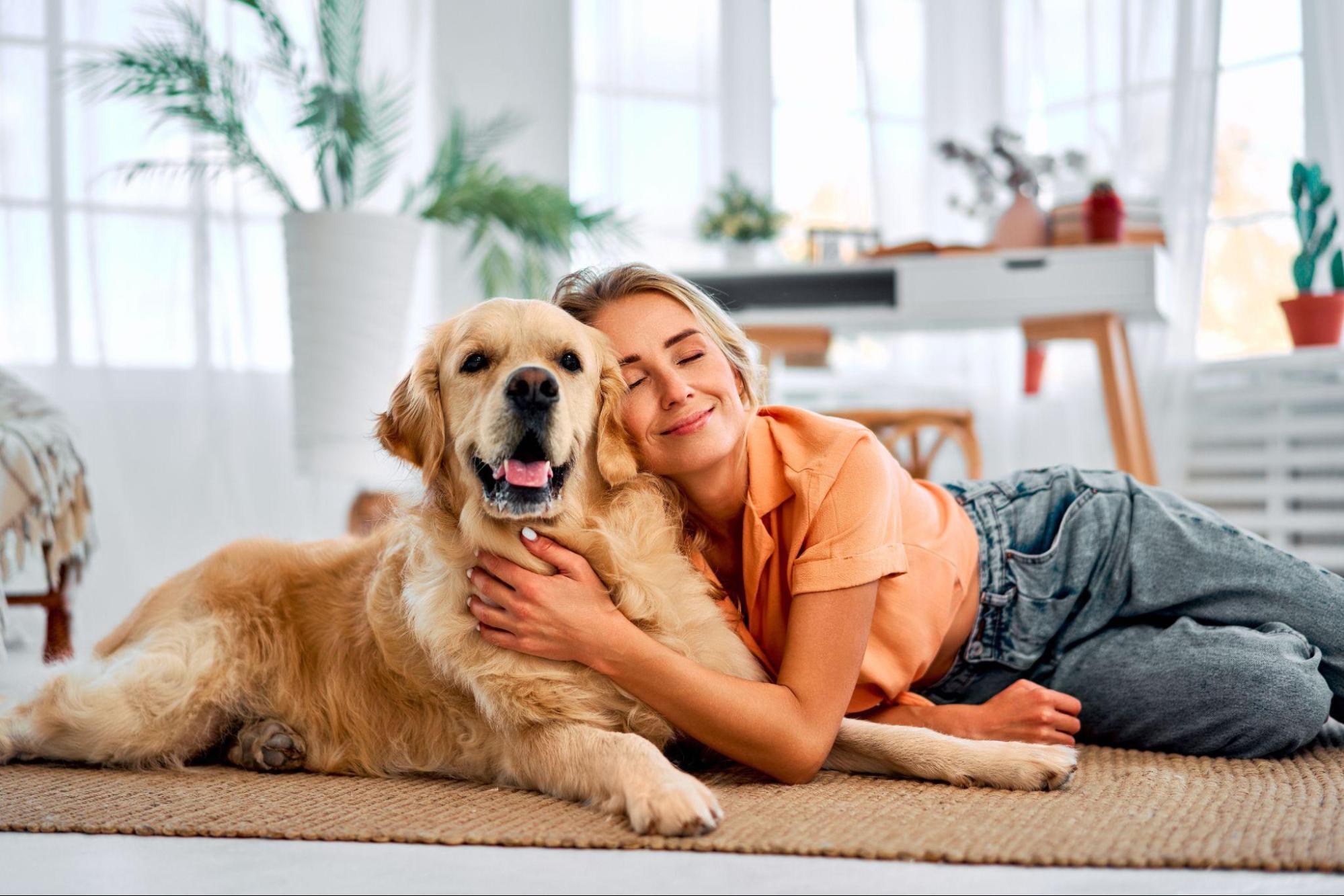 Ideal Companion Dogs – Your Ultimate List - Liveamoment